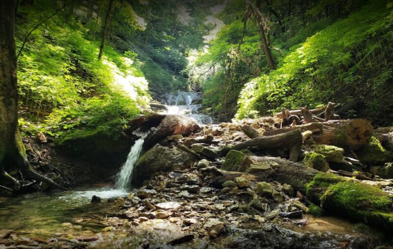 7 Best Waterfalls in Iowa for Nature Lovers - Iowa Watch