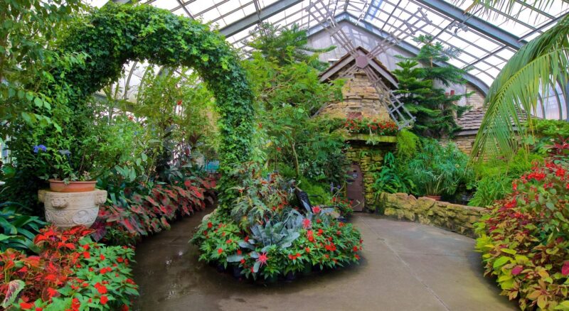 Is Vander Veer Botanical Park Worth the Trip? Here’s My Take - Iowa Watch