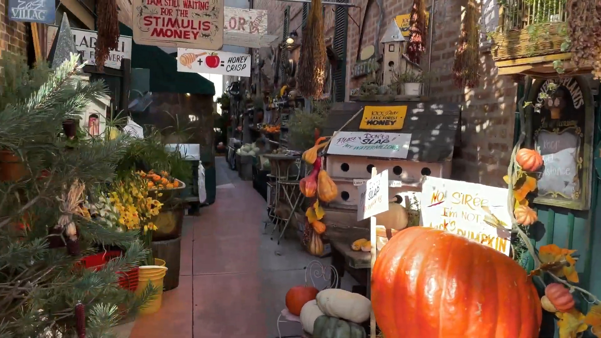 Why Lake Forest Is the Hidden Gem of Illinois’ North Shore in 2024 ...